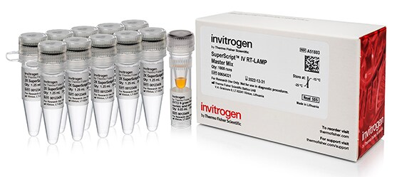Loop-Mediated Isothermal Amplification (LAMP) | Thermo Fisher ...