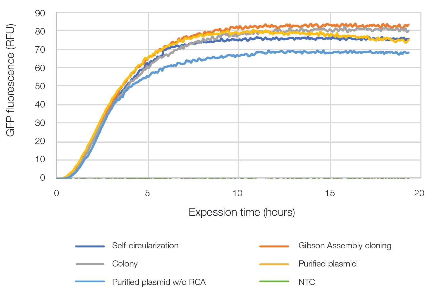 RCA and MDA-WGA | Thermo Fisher Scientific - CN