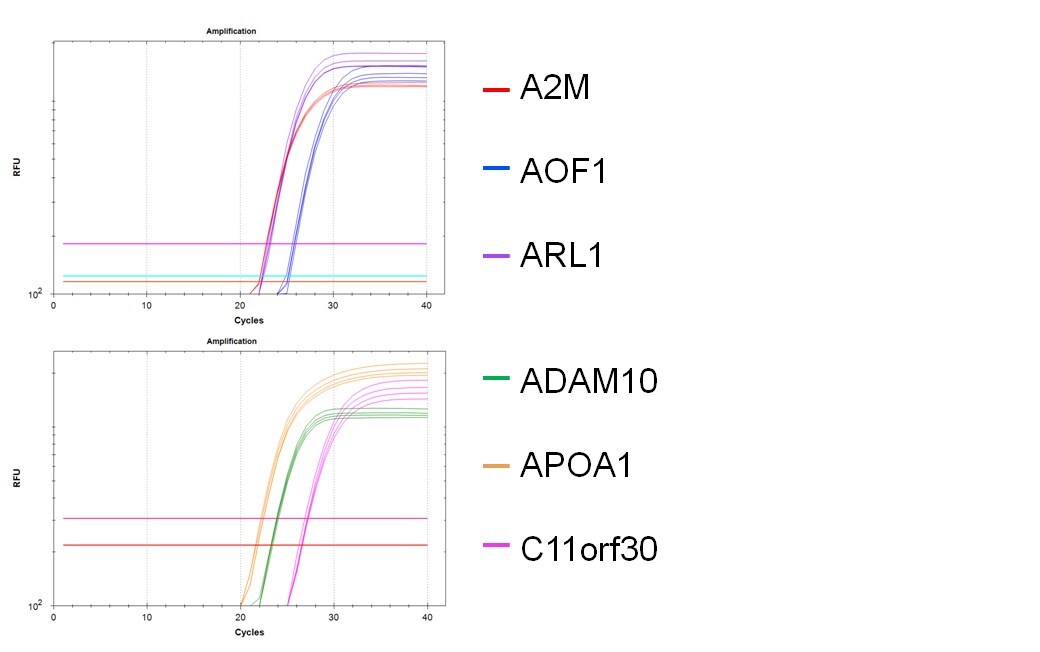 Applied Biosystems qPCR 测定和试剂与 Bio-Rad 仪器兼容 | Thermo Fisher Scientific - CN