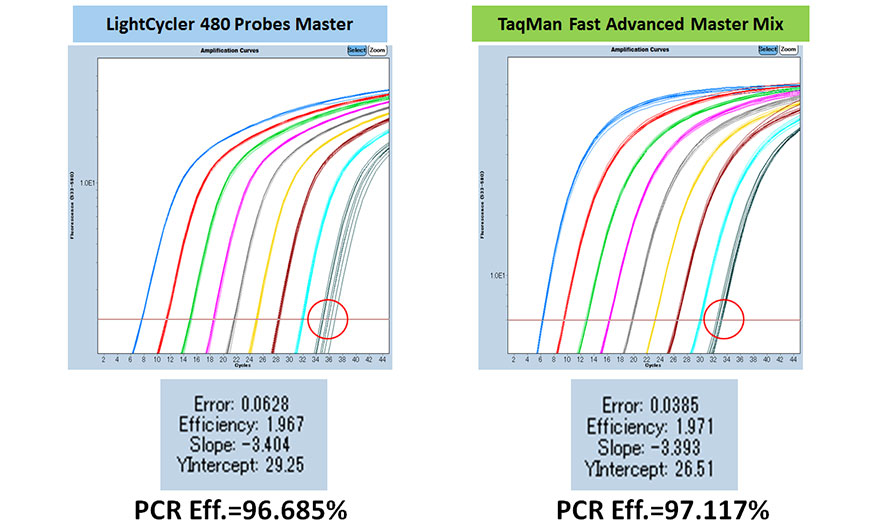 从 Roche LightCycler 获得更高性能 | Thermo Fisher Scientific - CN