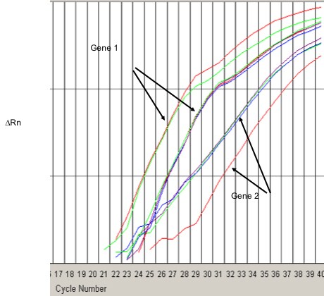 Efficiency of Real-Time PCR | Thermo Fisher Scientific - CN