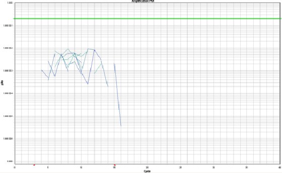 No Amplification | Thermo Fisher Scientific - CN