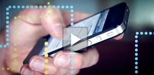 ProFlex™ PCR系统 | Thermo Fisher Scientific - CN