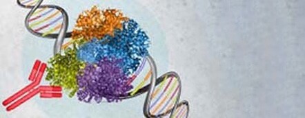 Protein Analysis Center | Thermo Fisher Scientific - CN