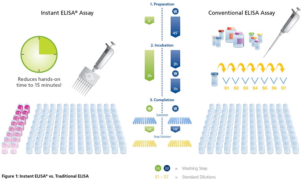 一步法 ELISA 技术 | Thermo Fisher Scientific - CN