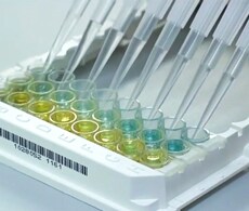 Enzyme Substrates for ELISA | Thermo Fisher Scientific - CN