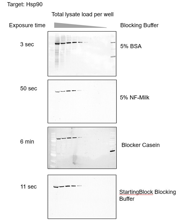 Blocking Buffers for Western Blot and ELISA | Thermo Fisher Scientific - CN
