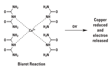 Chemistry of Protein Assays | Thermo Fisher Scientific - CN