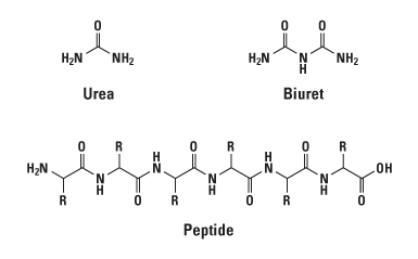 Chemistry of Protein Assays | Thermo Fisher Scientific - CN