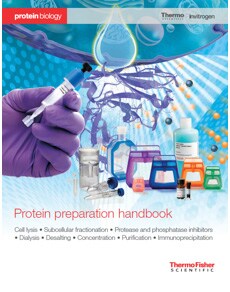 Co-Immunoprecipitation (Co-IP) | Thermo Fisher Scientific - CN