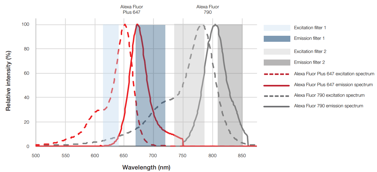 Fluorescent Western Blotting | Thermo Fisher Scientific - CN