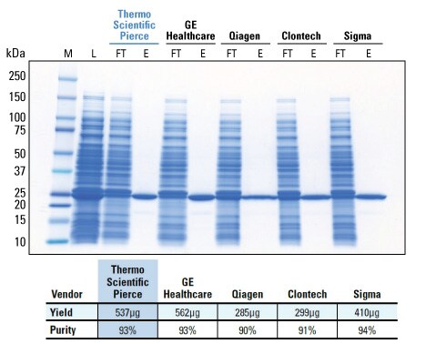 GST-tagged Proteins–Production and Purification | Thermo Fisher ...