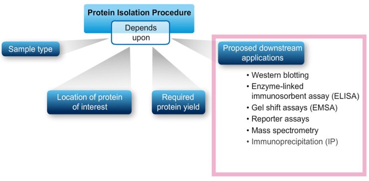 Overview of Cell Lysis and Protein Extraction | Thermo Fisher ...