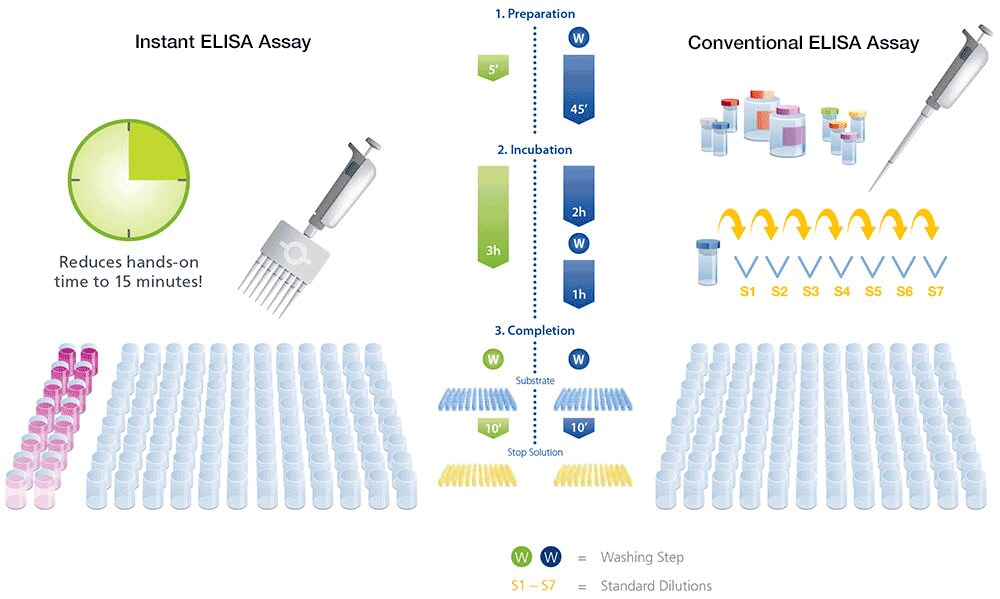 ELISA是什么-ELISA法概述-赛默飞 | Thermo Fisher Scientific - CN