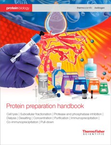 Overview of Protein–Protein Interaction Analysis | Thermo Fisher ...