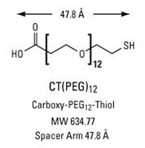 Polyethylene Glycol (PEG) and Pegylation of Proteins | Thermo Fisher ...