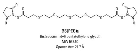 Polyethylene Glycol (PEG) and Pegylation of Proteins | Thermo Fisher ...