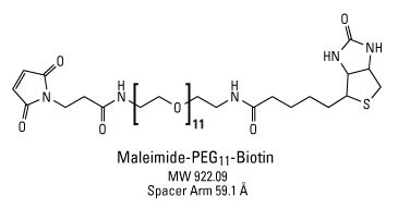 Polyethylene Glycol (PEG) and Pegylation of Proteins | Thermo Fisher ...