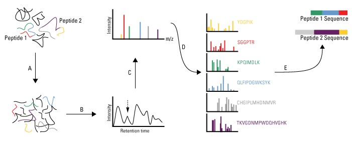 Quantitative Proteomics | Thermo Fisher Scientific - CN