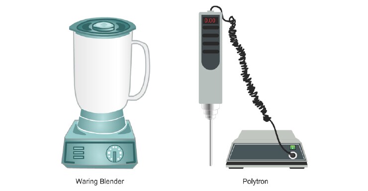 Traditional Methods of Cell Lysis | Thermo Fisher Scientific - CN