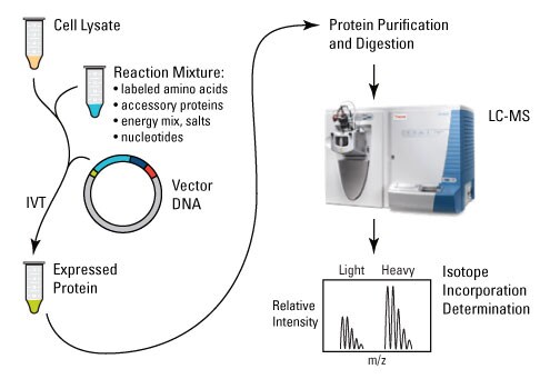 Cell-Free Protein Expression for Generating Stable Isotope-Labeled ...