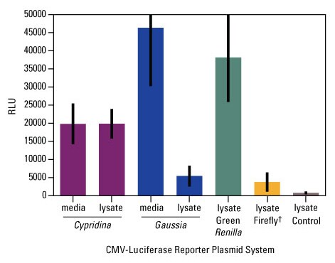 Luciferase Assays in Jurkat Cells | Thermo Fisher Scientific - CN