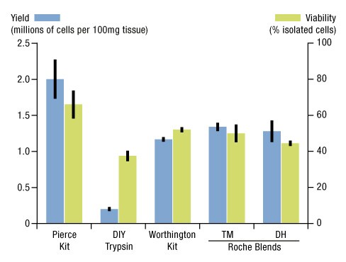 One-Hour Procedure to Isolate Primary Cardiomyocytes from Neonatal ...