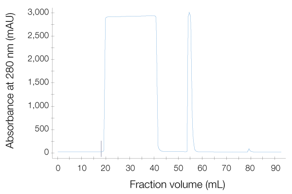 Optimizing Protein A Purification of Monoclonal Antibodies When Using ...