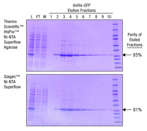 Performance Characterization of HisPur Nickel Superflow Agarose ...