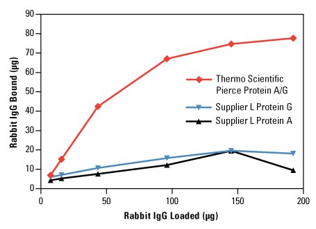 Protein A/G Magnetic Beads | Thermo Fisher Scientific - CN