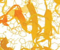 Protein Biology Selection Guides | Thermo Fisher Scientific - CN