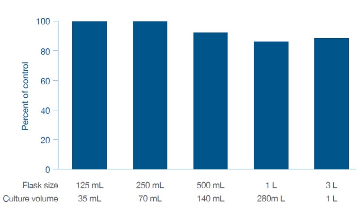 Mammalian Cell–Based Protein Expression — Protein Expression Handbook ...