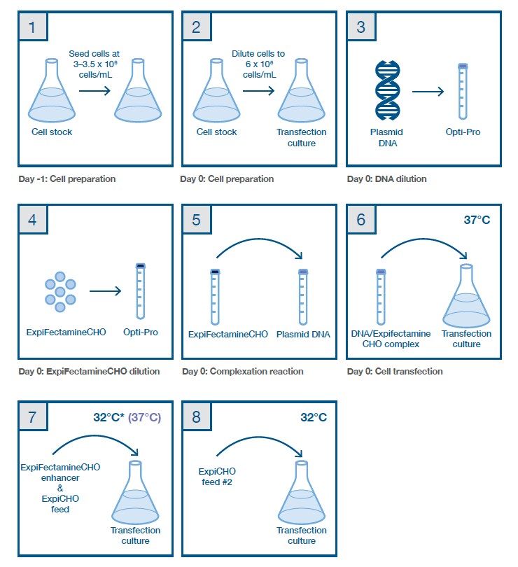 Mammalian Cell–Based Protein Expression — Protein Expression Handbook ...