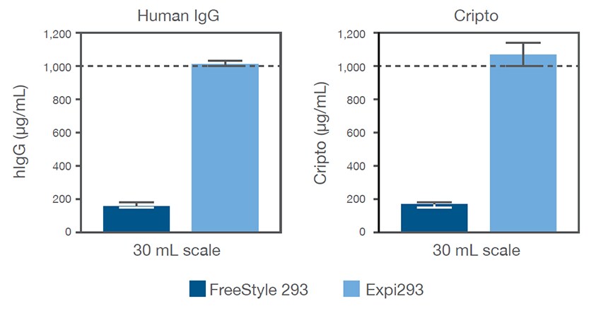 Mammalian Cell–Based Protein Expression — Protein Expression Handbook ...