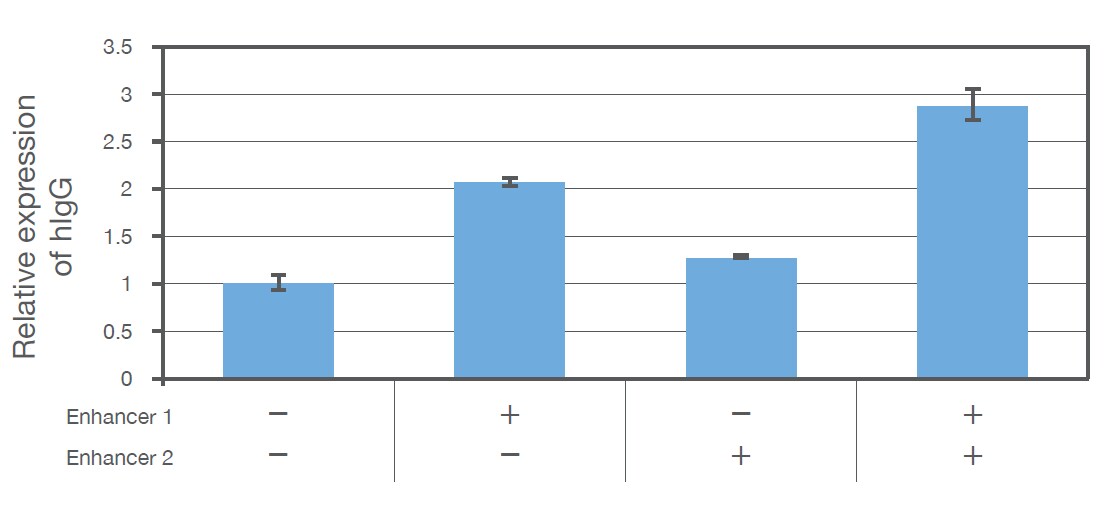 Mammalian Cell–Based Protein Expression — Protein Expression Handbook ...