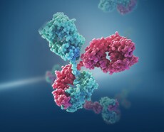 Protein Expression Overview — Protein Expression Handbook | Thermo ...