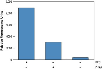 Thermo Scientific 一步法 IVT 系统使用入门 | Thermo Fisher Scientific - CN