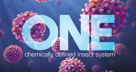 ExpiSf表达系统 | 赛默飞 | Thermo Fisher Scientific - CN