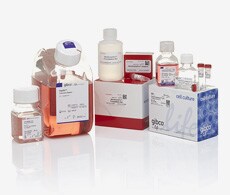 Expi293™ MembranePro Expression System | Thermo Fisher Scientific - CN