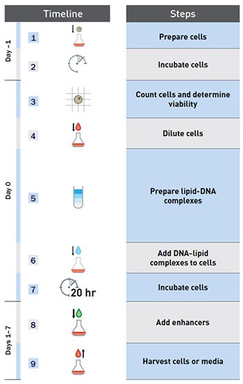 适用于结构生物学应用的 Expi293 表达系统 | Thermo Fisher Scientific - CN