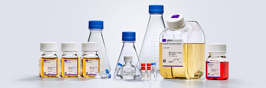 ExpiCHO表达系统 | Thermo Fisher Scientific - CN