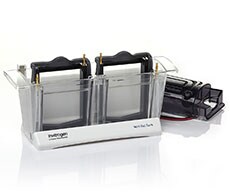 Mini Gel Tank 小型垂直电泳槽-微型电泳槽-赛默飞 | Thermo Fisher Scientific - CN