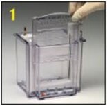 XCell SureLock Mini-Cell小型电泳设备-赛默飞 | Thermo Fisher Scientific - CN