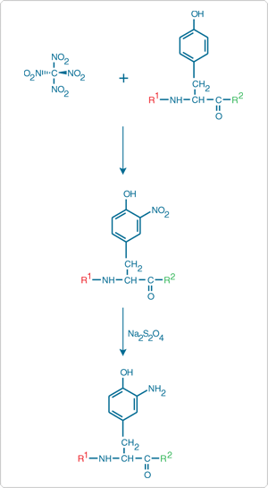 Protein Labeling Reagents | Thermo Fisher Scientific - CN