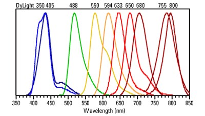 DyLight Technology and Product Guide | Thermo Fisher Scientific - CN