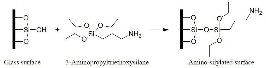 Protein Modification Reagents | Thermo Fisher Scientific - CN