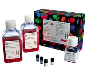 SILAC 代谢标记系统 | Thermo Fisher Scientific - CN