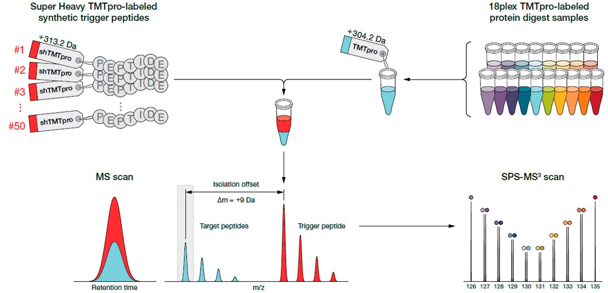 Tandem Mass Tag Systems | Thermo Fisher Scientific - CN