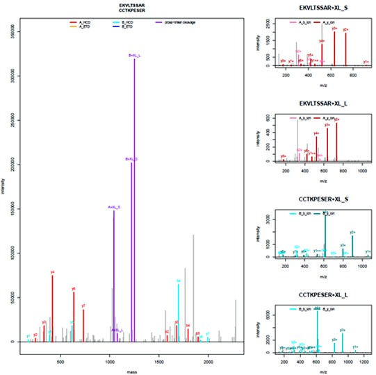 用于质谱的蛋白互作交联 | Thermo Fisher Scientific - CN
