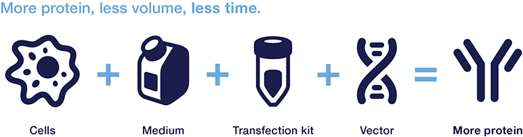 5步实现蛋白分离和纯化 | Thermo Fisher Scientific - CN